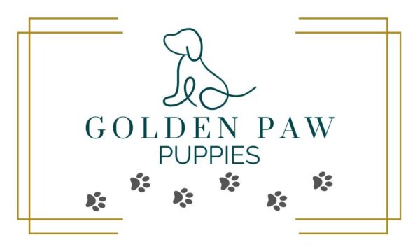 Home - Golden Paw Puppies